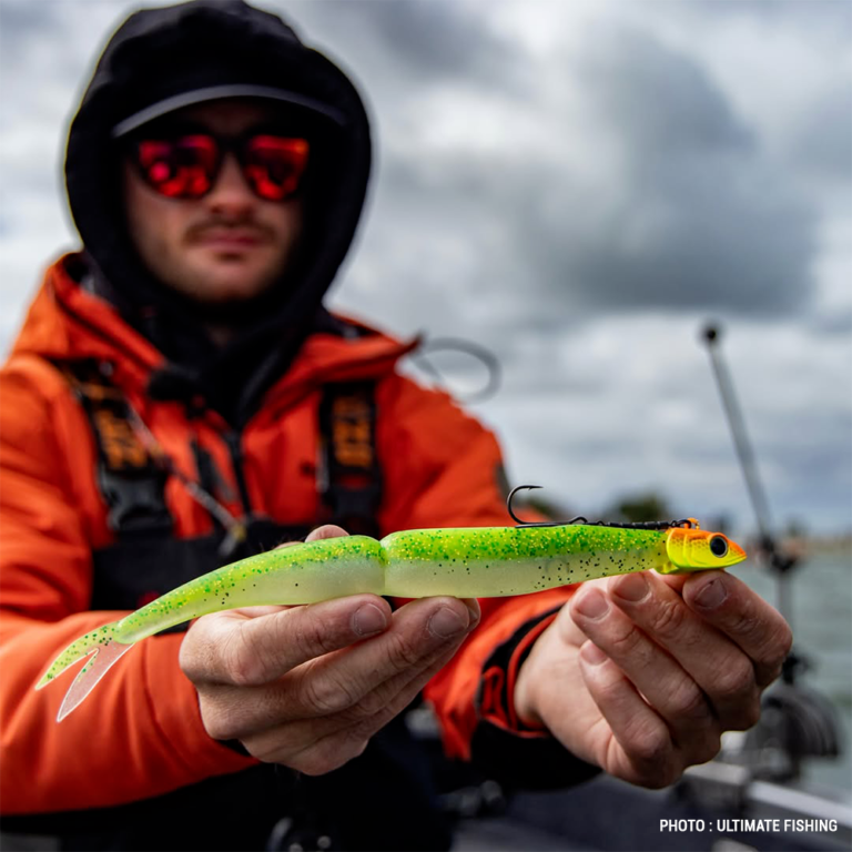 La grande nouveauté pour cet hiver, le One Up V Tail 23cm - Blog ...